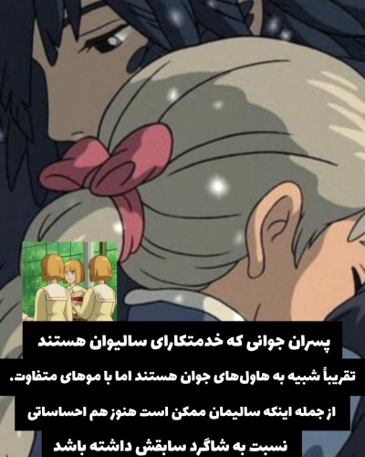 تئوری های قلعه متحرک هاول تستچی